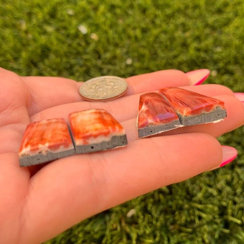 1012 Red Spiny Oyster Shell Pairs Backed Cabochons Natural Shell Mirror ...