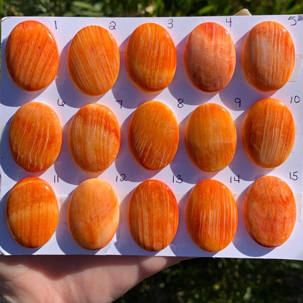 Spiny Oyster Jewelry - Etsy