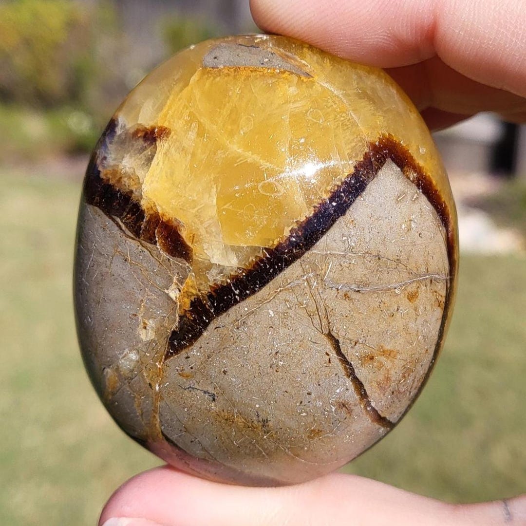Gemmy Septarian Crystal Palm Stone: Manifestation, Transformation ...