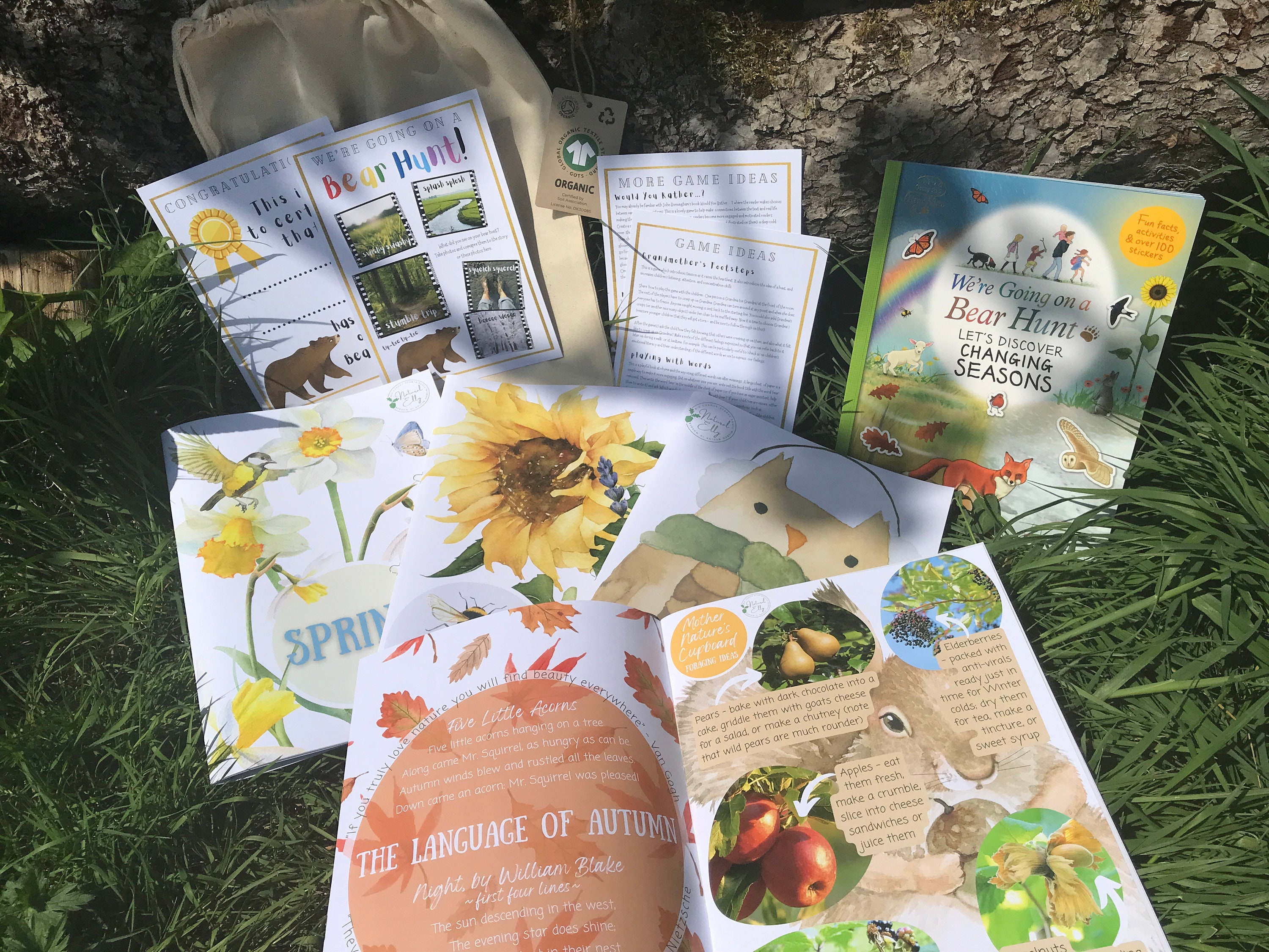 We’re Going on A Bear Hunt Story Sack, Perfect Gift for Children and ...