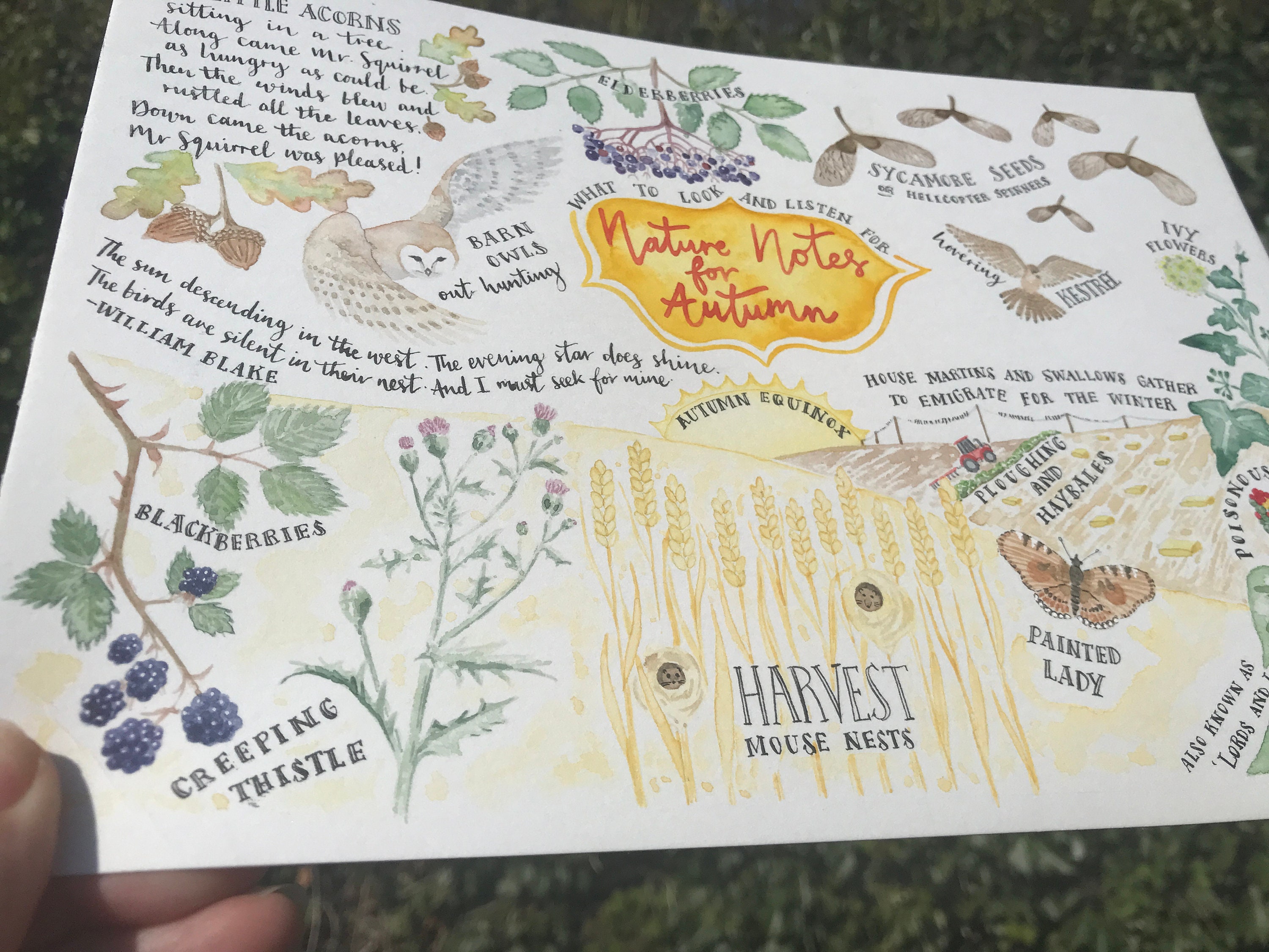 ALL 4 SEASONS Nature Notes Printable special Offer With - Etsy