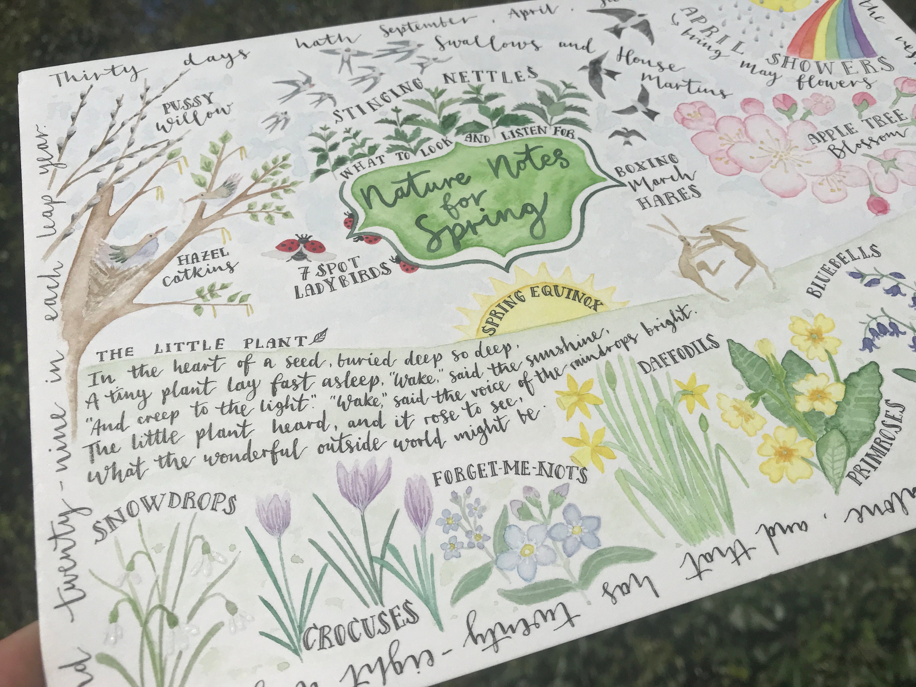 Spring ‘nature Notes’ Printable; Be a Wildlife Detective With This Hand ...