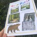 Printable ‘we’re Going on A Bear Hunt’ Activity Sheets With Game Ideas ...