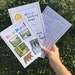 Printable ‘we’re Going on A Bear Hunt’ Activity Sheets With Game Ideas ...