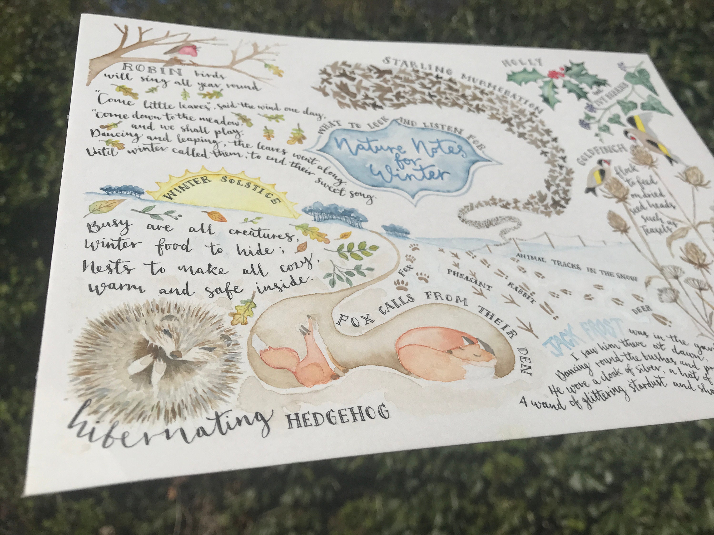 ALL 4 SEASONS Nature Notes Printable special Offer With - Etsy