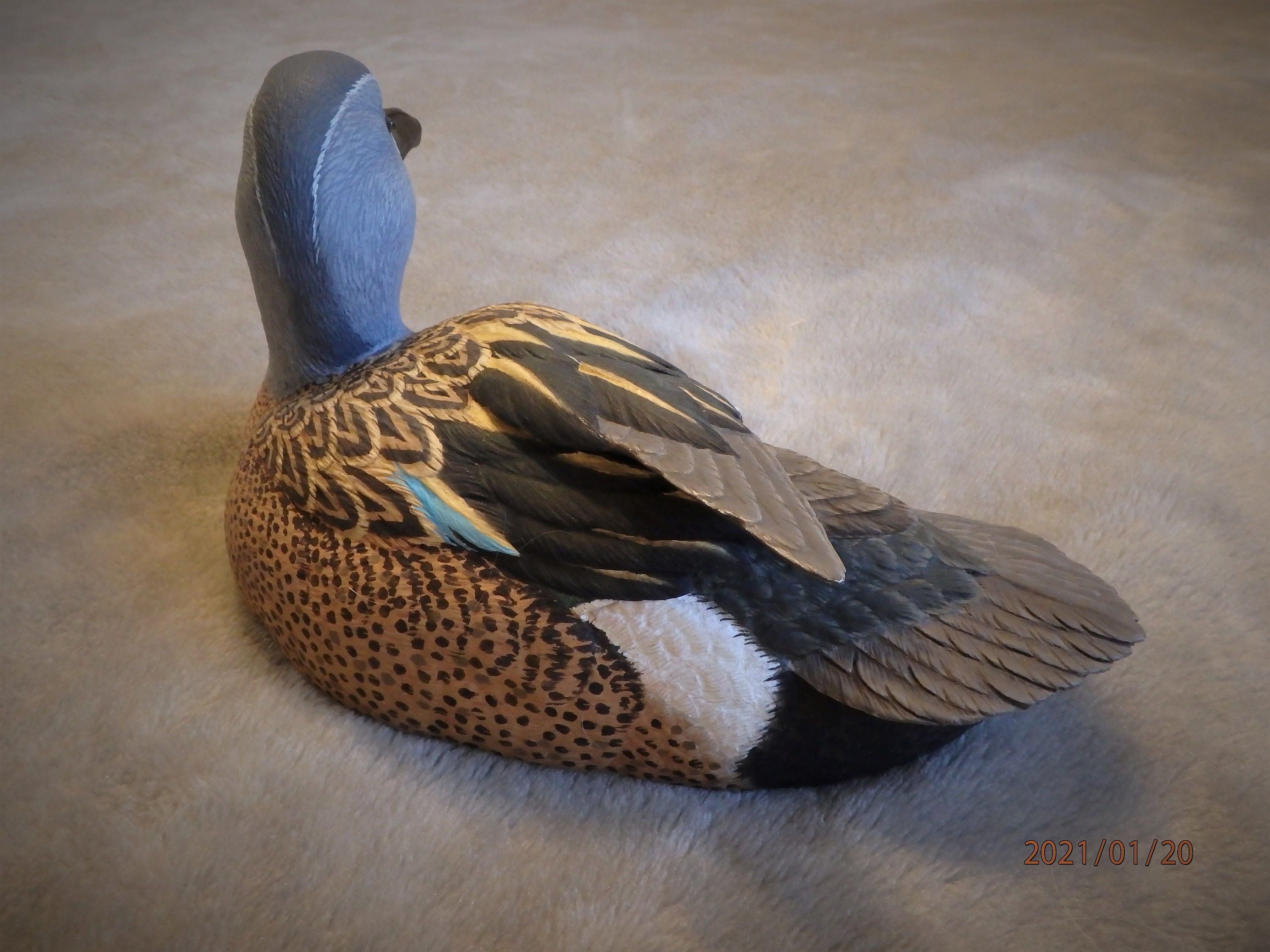 Full Size Blue Wing Teal Drake - Etsy