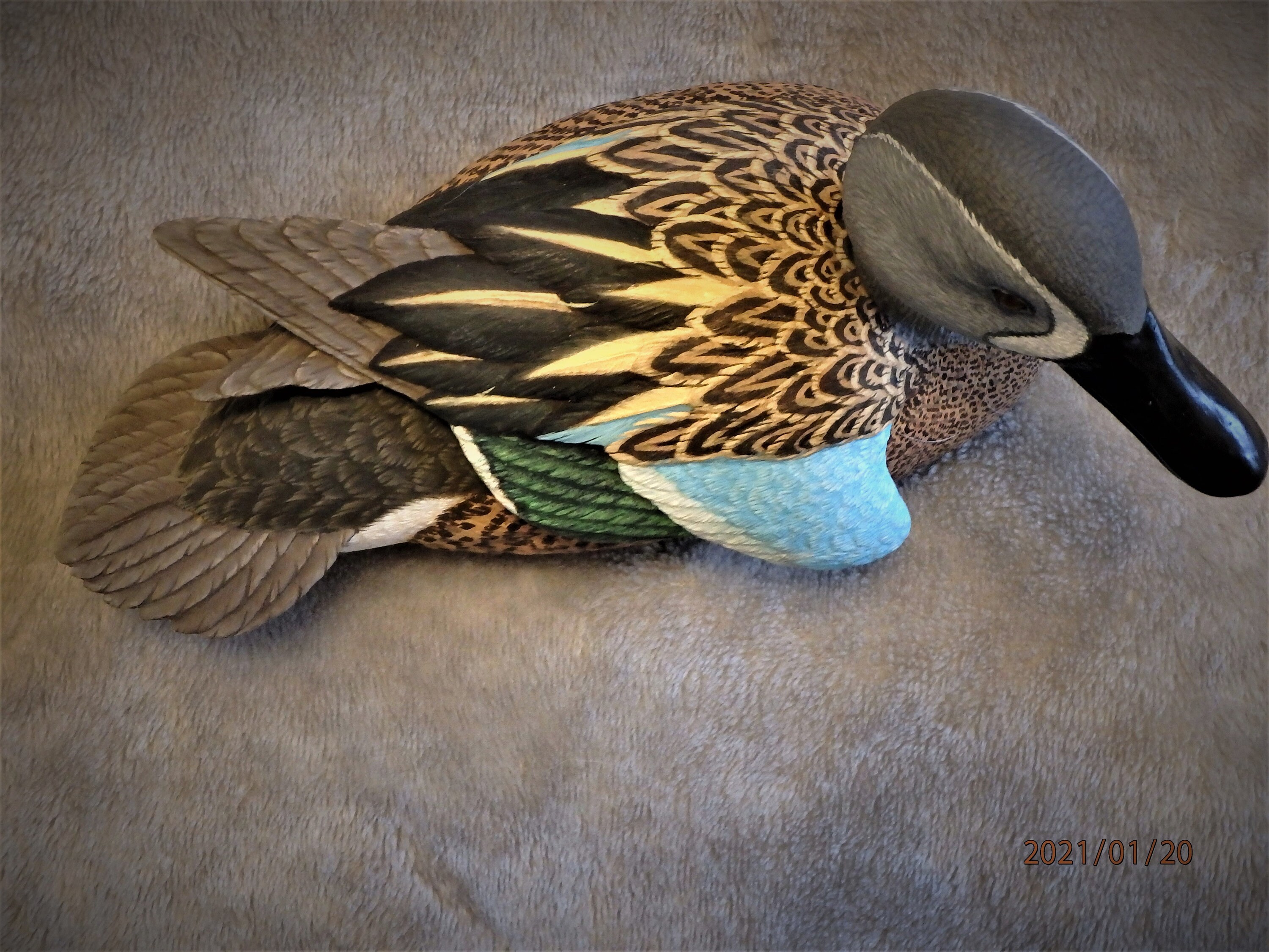 Full Size Blue Wing Teal Drake - Etsy