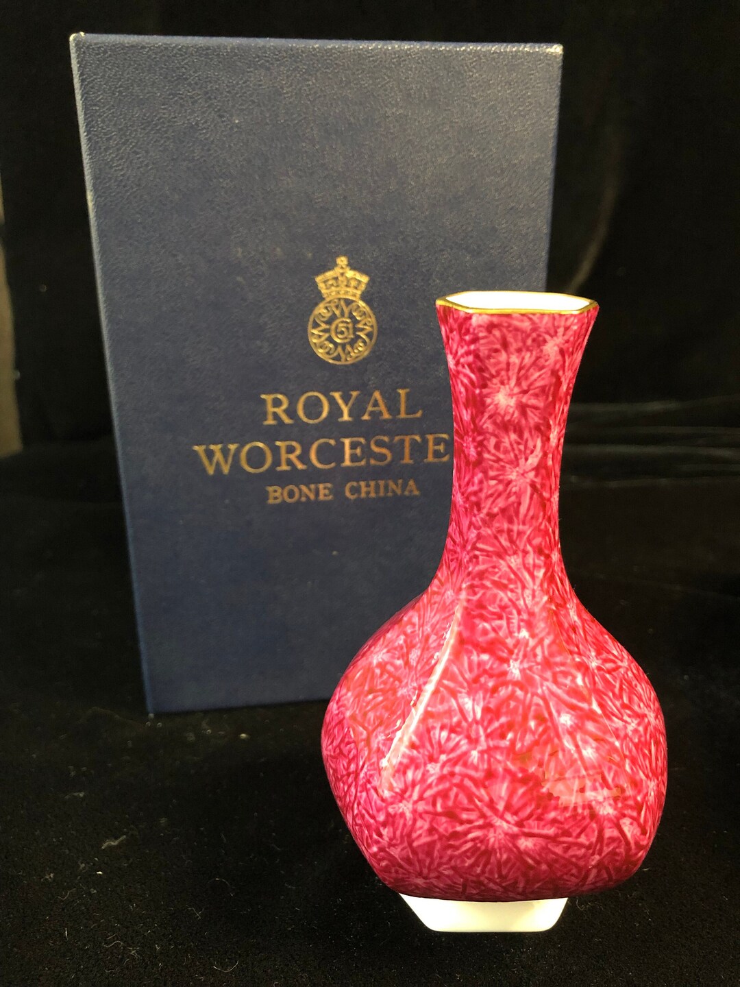Vintage Royal Worcester Bone China Single Bloom Display Vase With ...