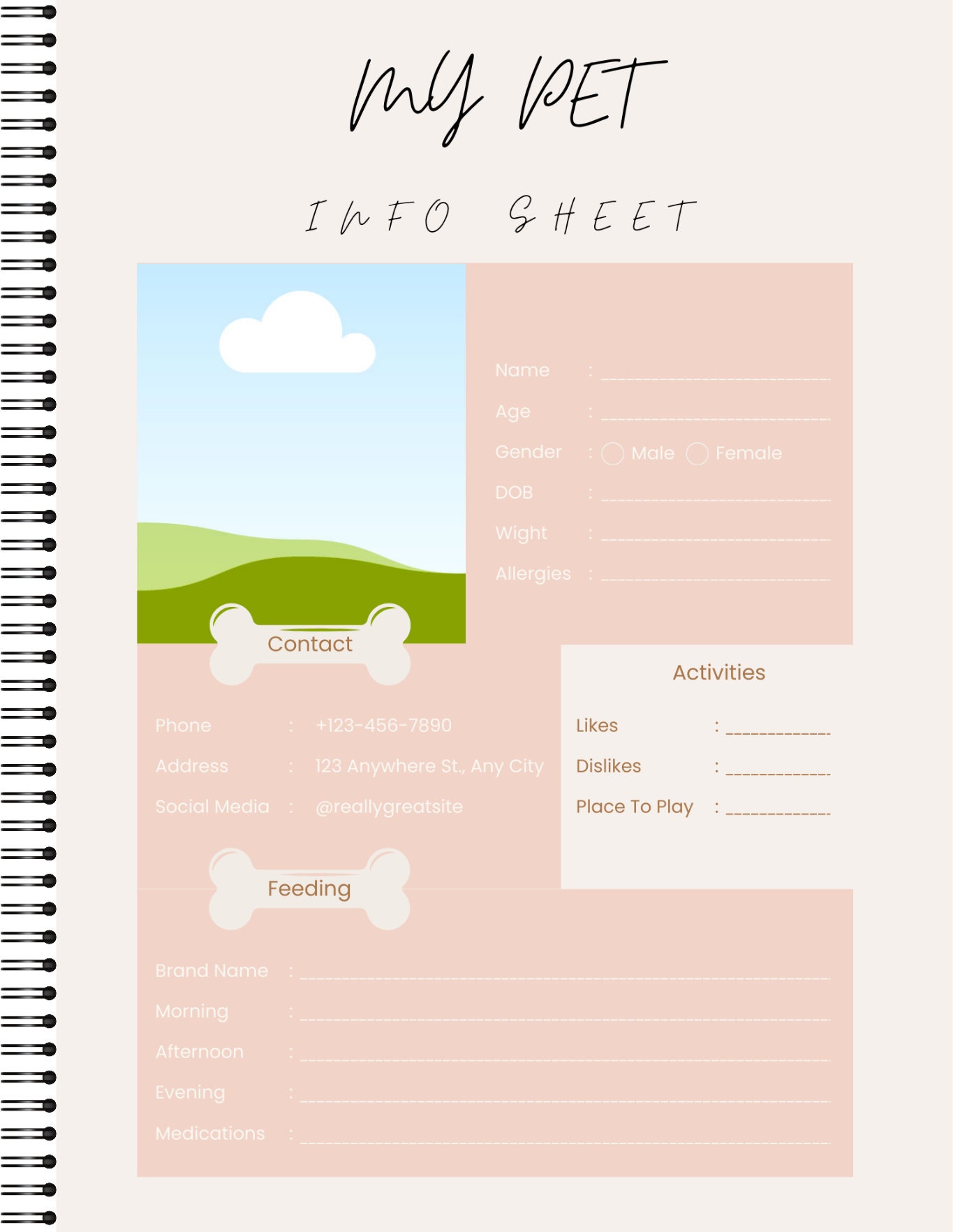 Dog Wellness Plan, Fillable Pet Planner, Pet Care Planner, Pet Sitter ...