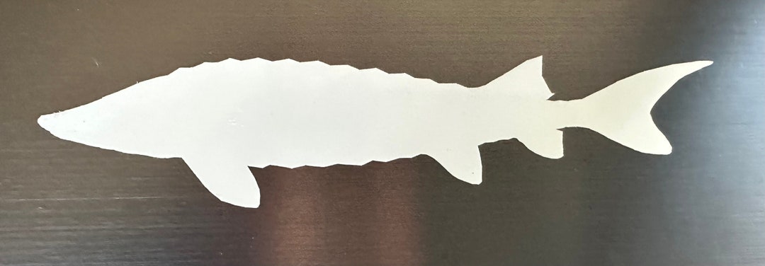 Sturgeon Decal Vinyl Sticker - Etsy