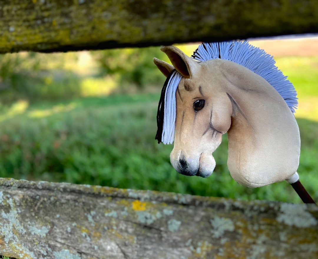 Customized Hobby Horse - Etsy