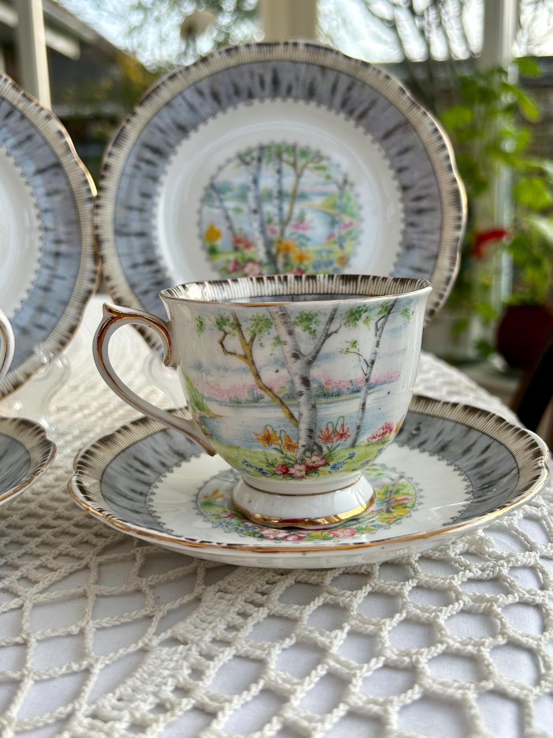 Royal Albert Silver Birch Tea Cup Trio: 1930s Bone China - Etsy