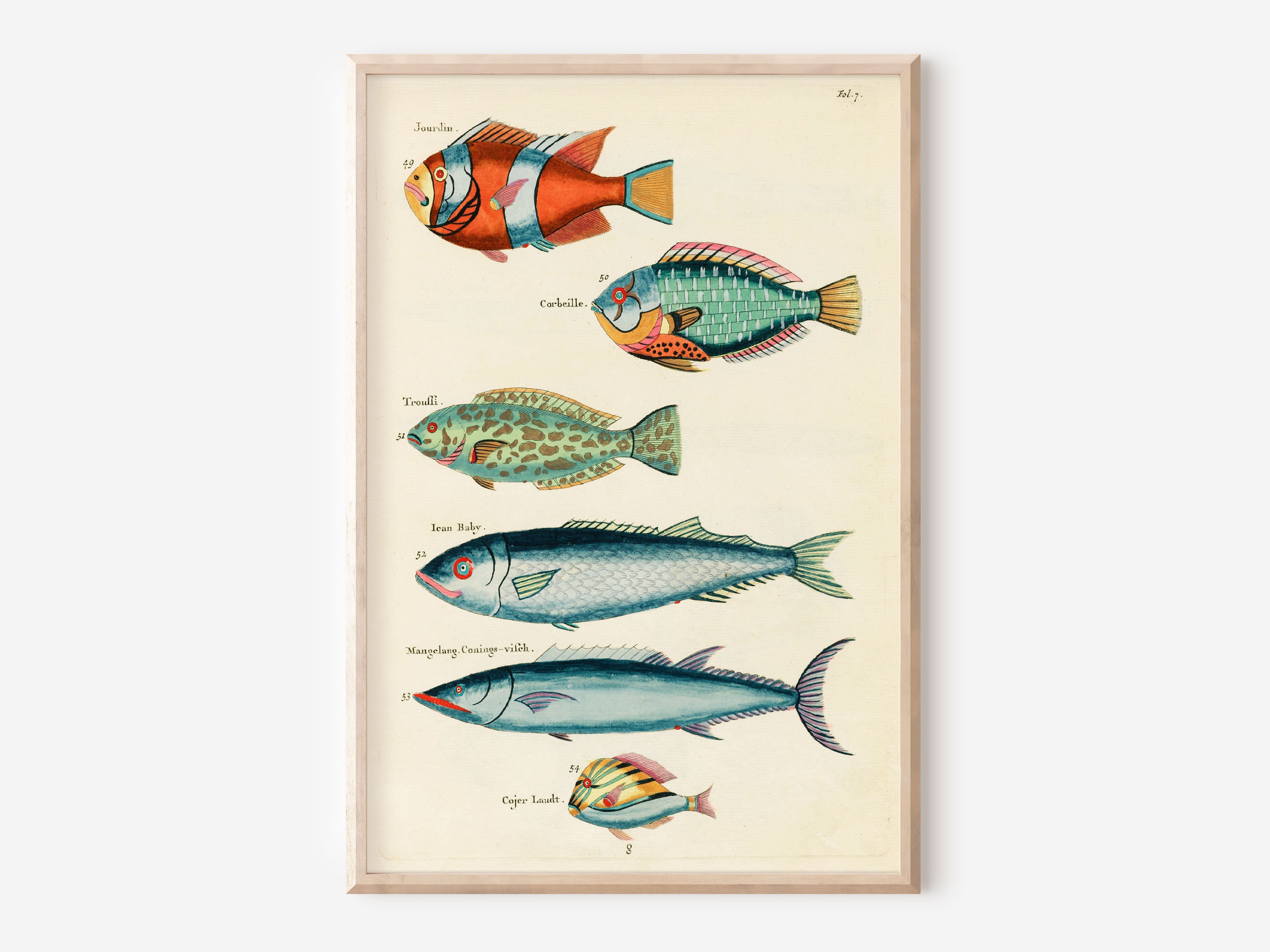 Marine Life Poster Antique Surreal Wall Art Sea Lover Gift Vintage Fish ...