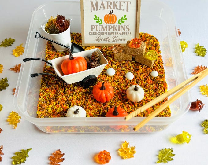 Fall Sensory Bin/forest Sensory Bin/sensory Kit/sensory Bin/sensory ...