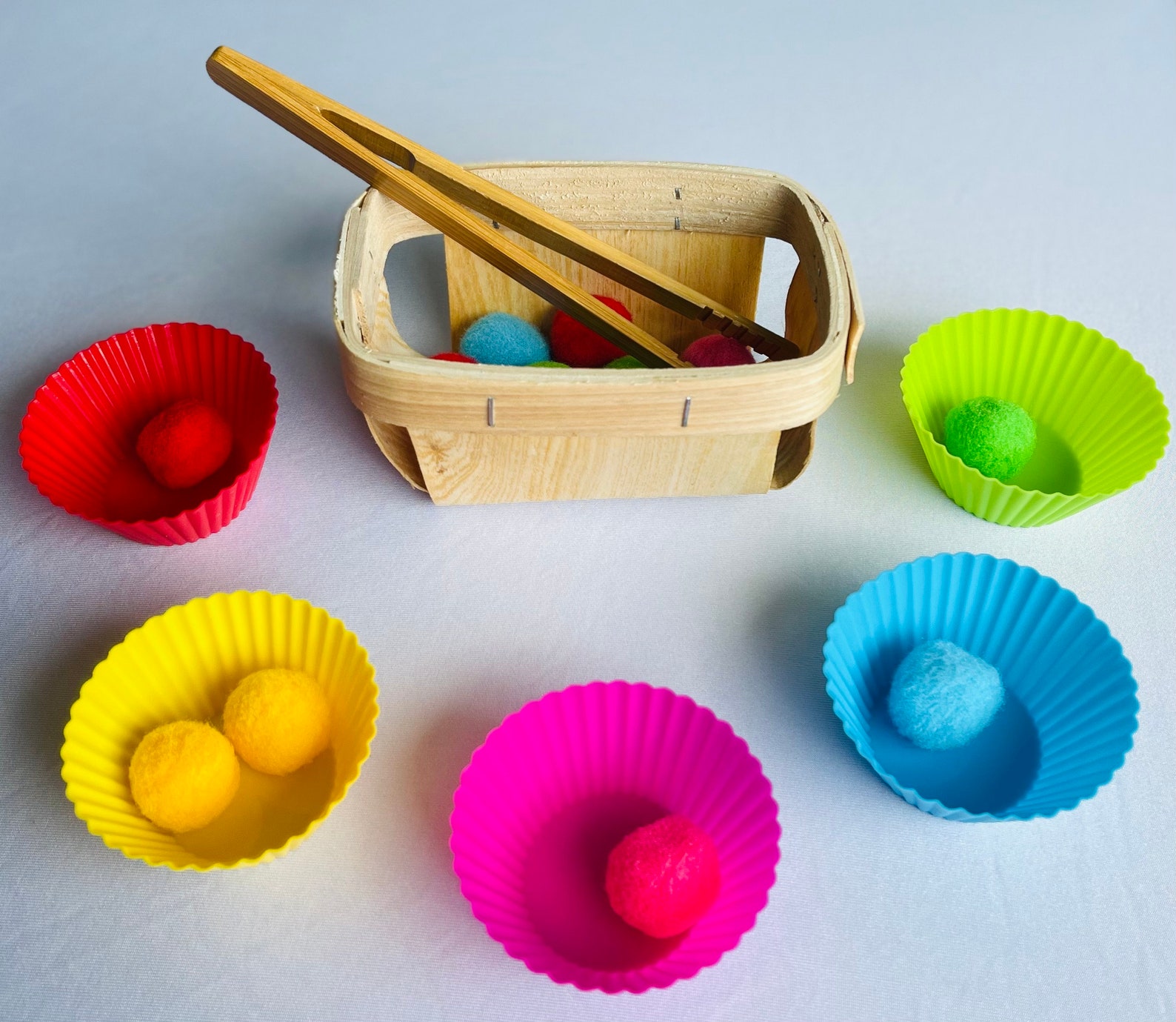 Montessori Color Sorting Toddler Activity - Etsy