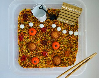 Fall Pumpkin Patch Bizzy Bin L Autumn Sensory Kit L Harvest Sensory Bin ...