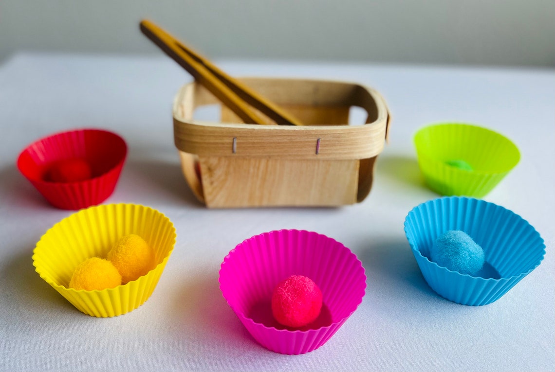 Montessori Color Sorting Toddler Activity - Etsy