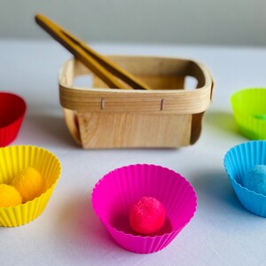 Montessori Color Sorting Toddler Activity - Etsy