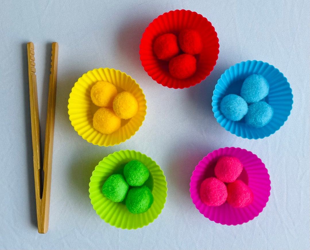 Montessori Color Sorting Toddler Activity - Etsy