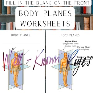 Body Planes Digital Worksheet, Frontal, Transverse, Sagittal Planes ...