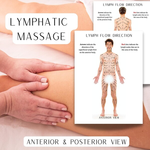 Lymph Drainage Massage Professional Infographic - Etsy Canada