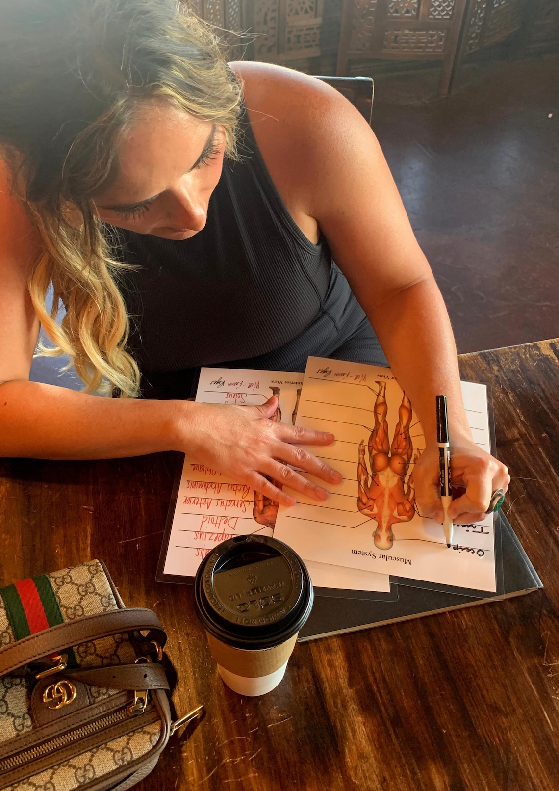 Muscular System Major Muscles Anatomy & Physiology Study - Etsy