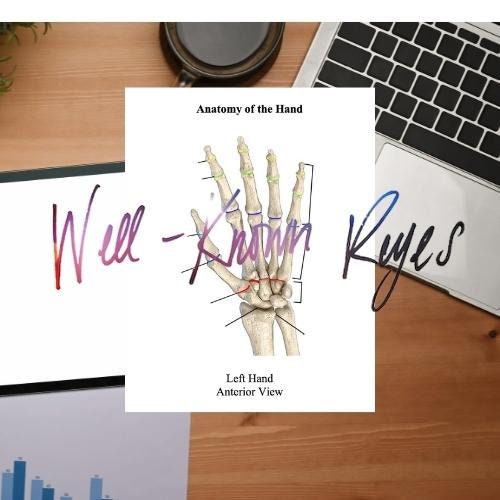 Anatomy of the Hand Worksheet, Study Guide, Bones, Joints, Anterior ...