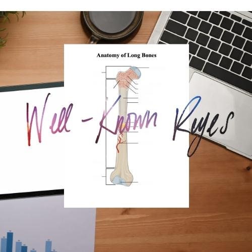 Anatomy of the Long Bones, Skeletal System Study Guide, Digital ...