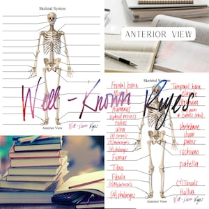 Skeletal System, Major Bones, Anatomy & Physiology, Study Worksheets ...