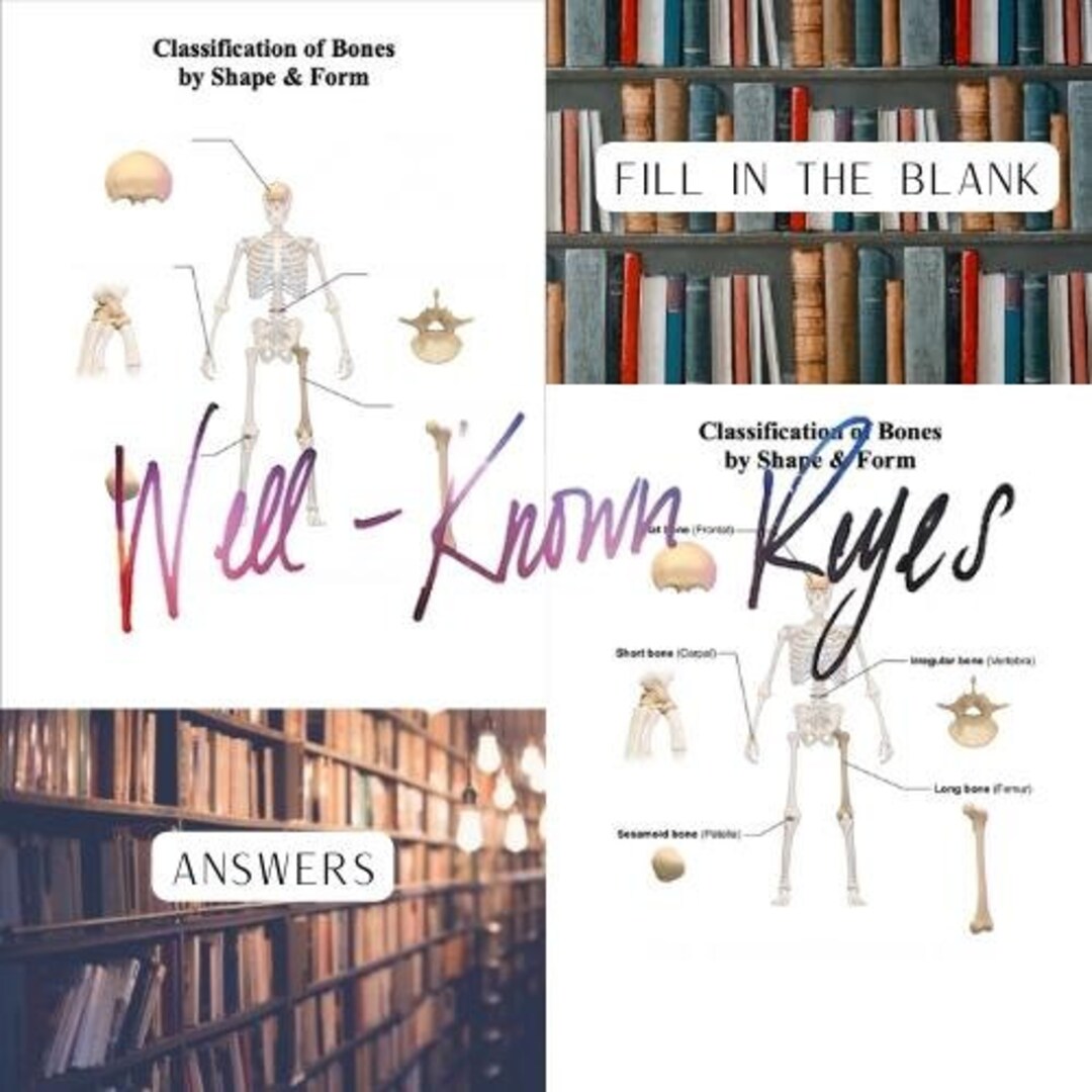 Classification of Bones by Shape and Form, Long, Short, Irregular ...