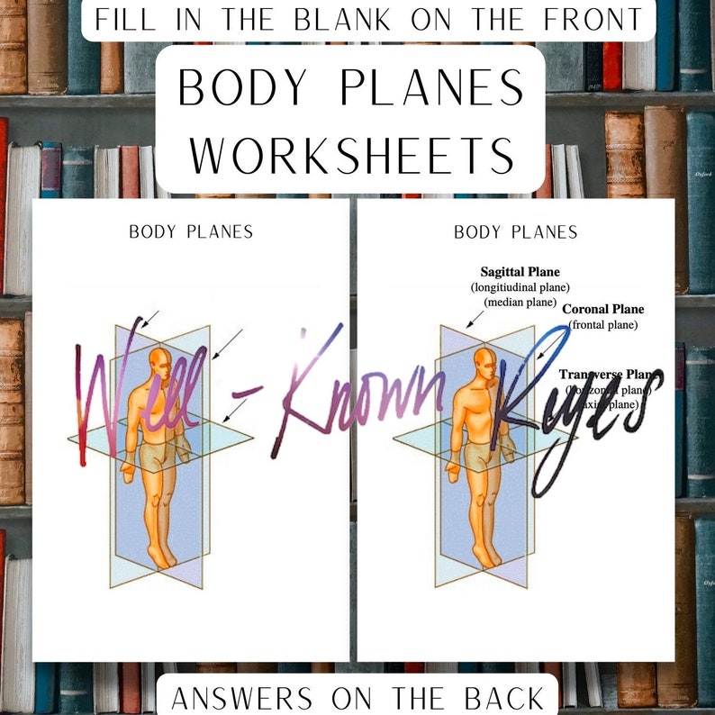 Body Planes Digital Worksheet, Frontal, Transverse, Sagittal Planes ...