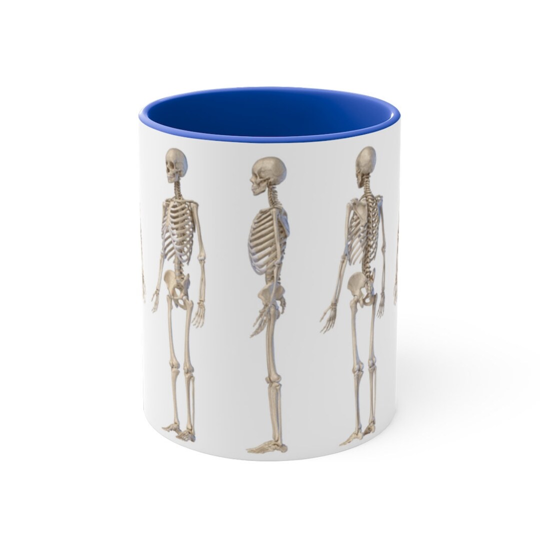 Major Bones, 11oz Accent Mug, Skeletal System Mug, Anatomy & Physiology ...