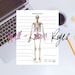 Skeletal System, Major Bones, Anatomy & Physiology, Study Worksheets ...
