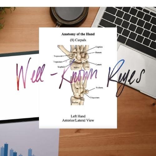 Anatomy of the Hand Worksheet, Study Guide, Bones, Joints, Anterior ...