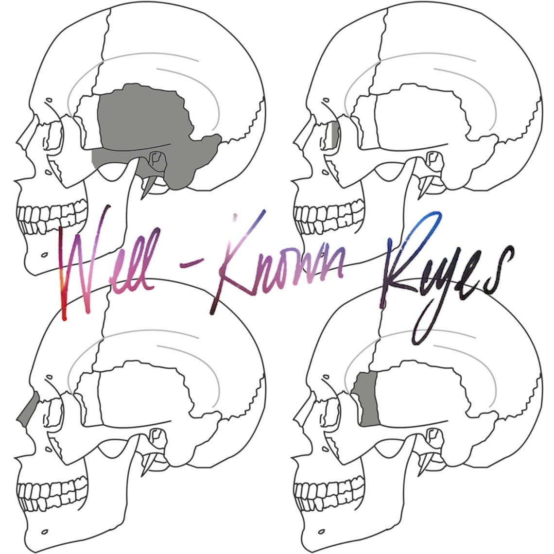 Label The Major Bones Of The Skull Cranial Bones Digital Worksheets label-the-major-bones-of-the-skull-cranial-bones-digital-worksheets
