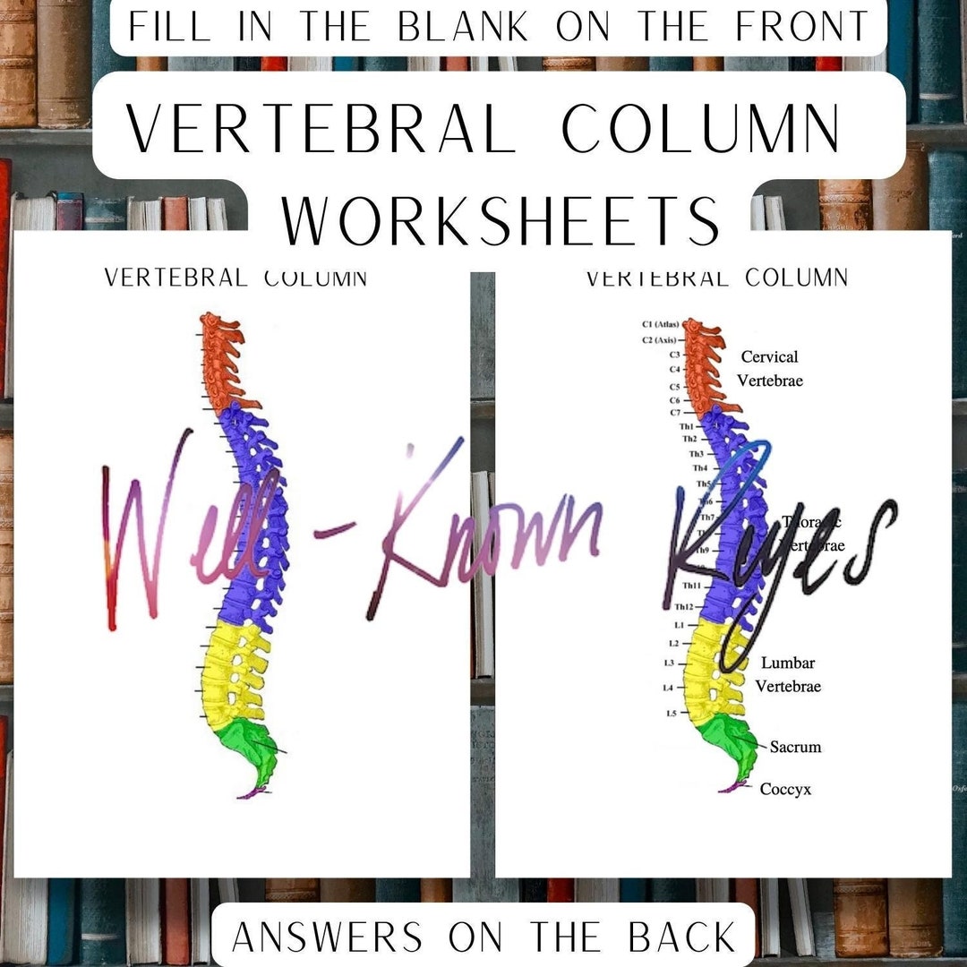 Vertebral Column Digital Worksheets, Practice Labeling the Vertebrae ...