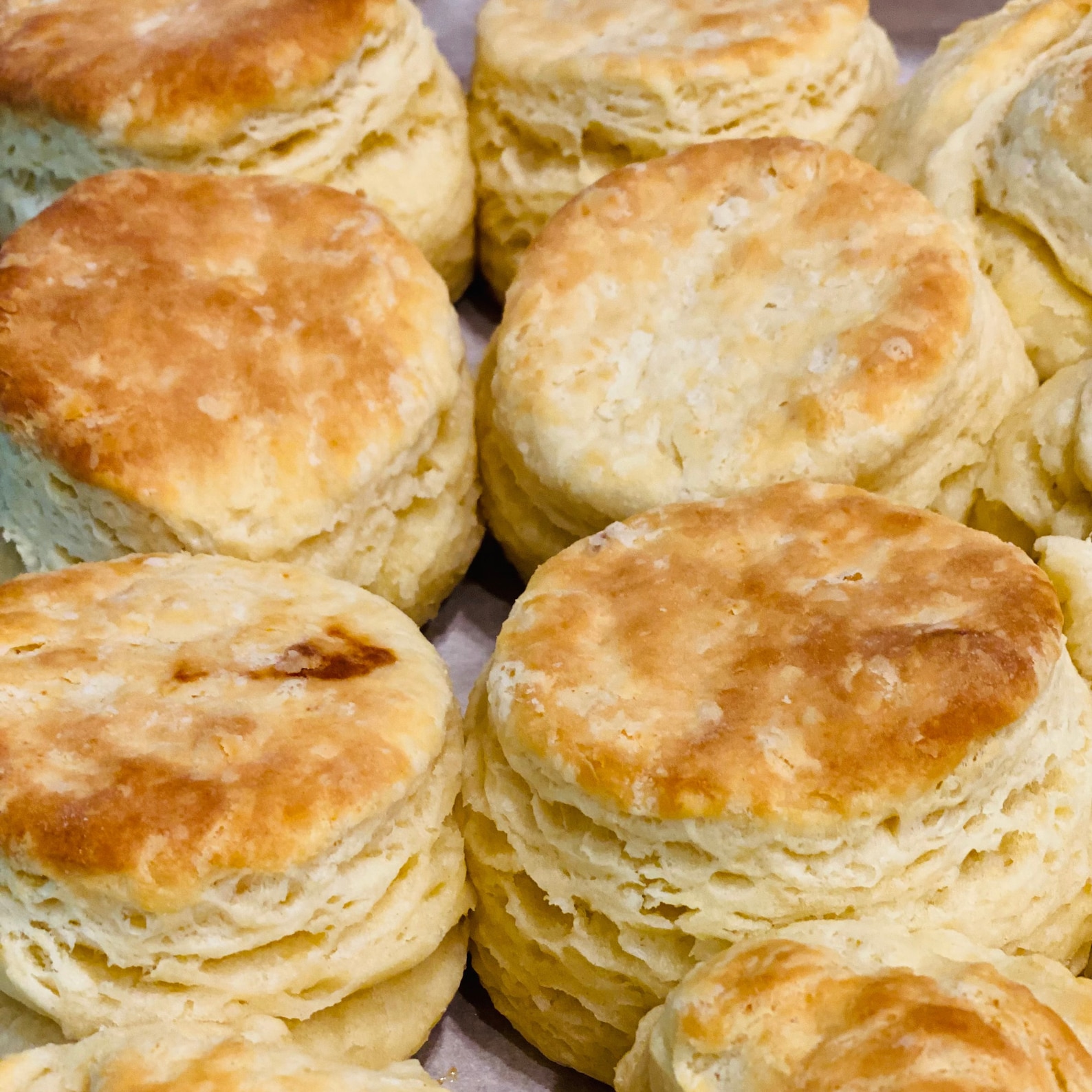 Buttermilk Biscuit Recipe – Southern Baking for Beginners (printable ...