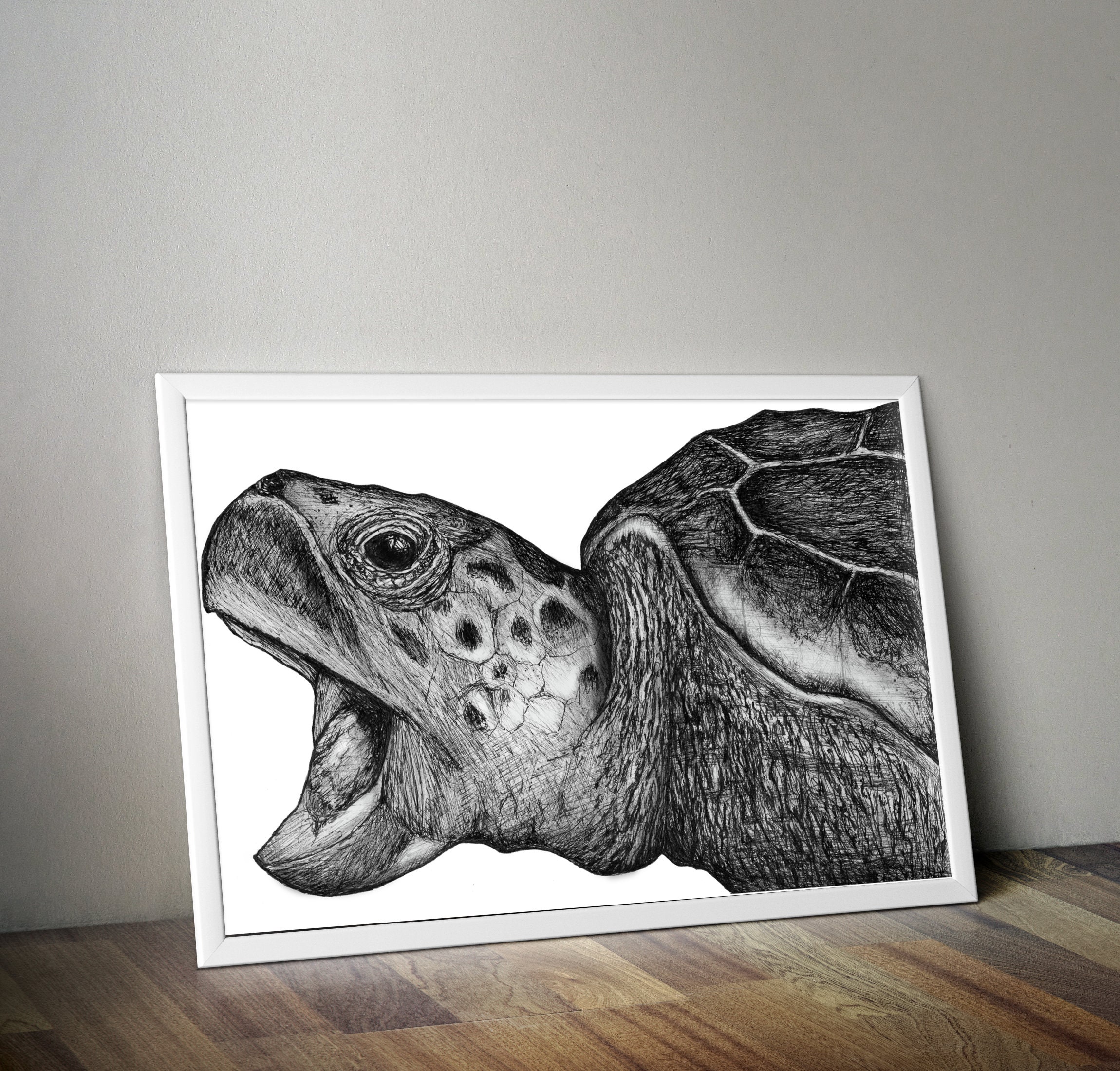 Turtle Drawing by Daniel Langford, Turtle Print, Beach Art, Florida Art ...