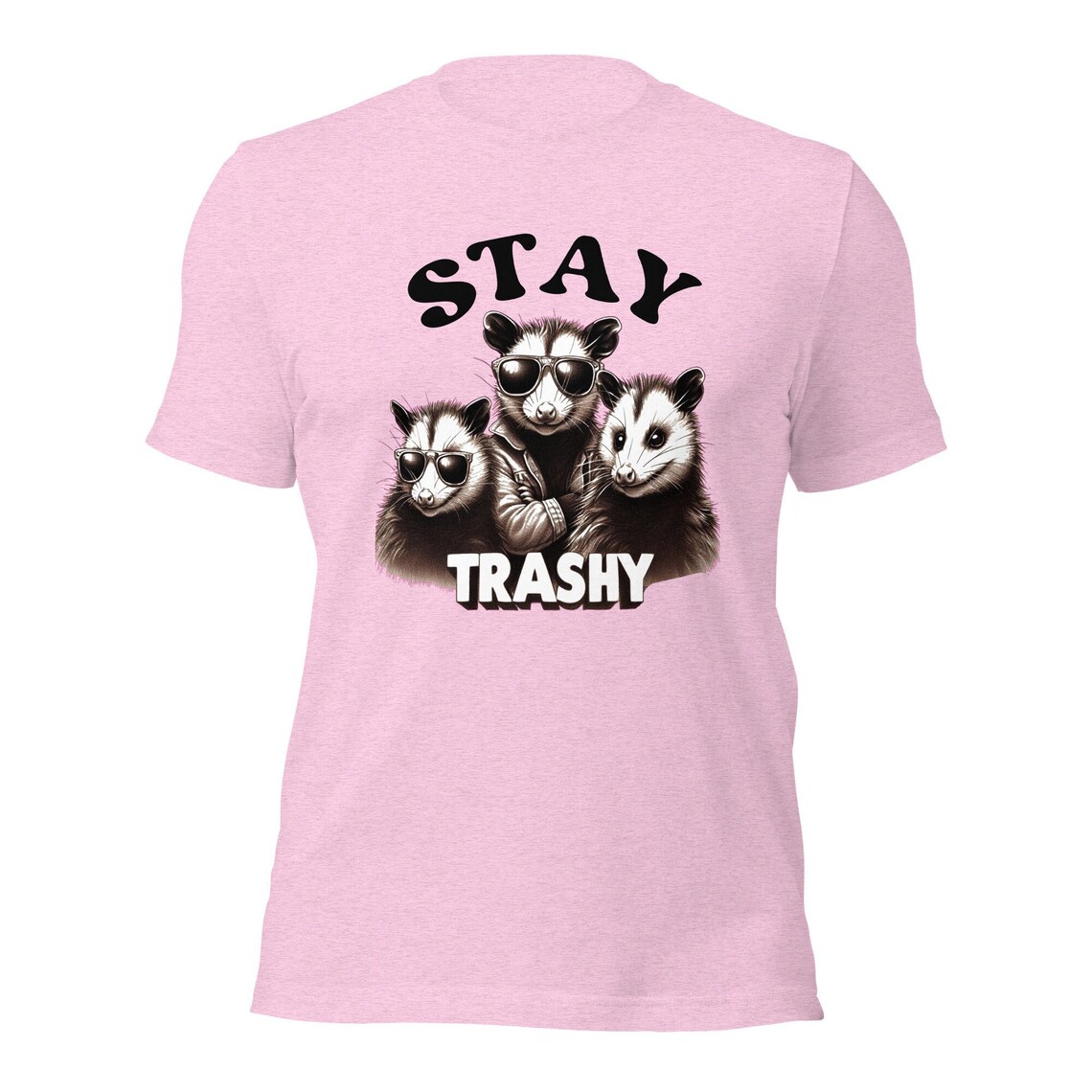 Stay Trashy Png, Raccoons Opossums Team Trash Png, Stay Trashy SVG PNG ...