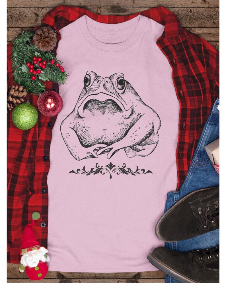 Unimpressed Frog Sweatshirt Grumpy Frog Chinese Japanese Aesthetic By