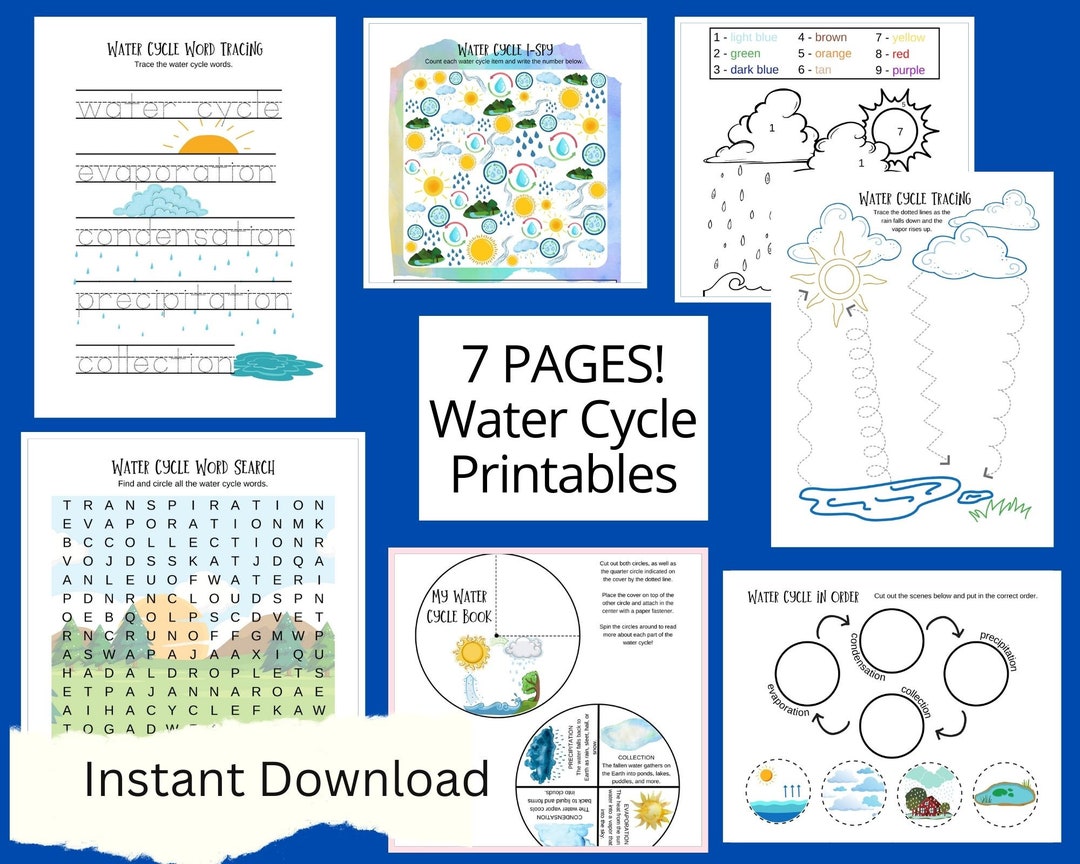 Water Cycle Printable Activity for Kids, Water Cycle Unit Study ...