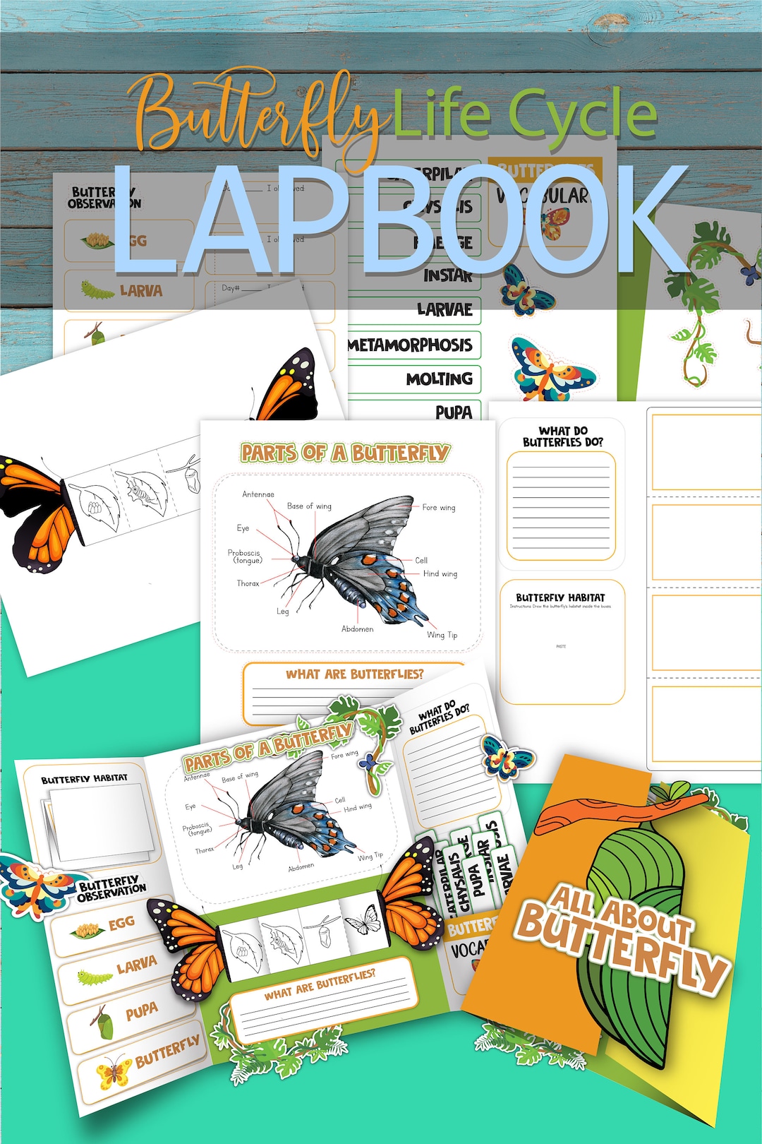 Butterfly Lapbook, Environment Worksheet, Butterfly Printable, Nature ...