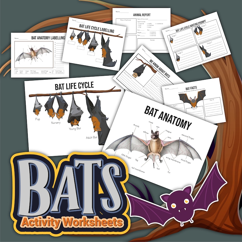 Bat Printable, Bat Unit Study, Bat Nature Study, Nature Study, Science ...