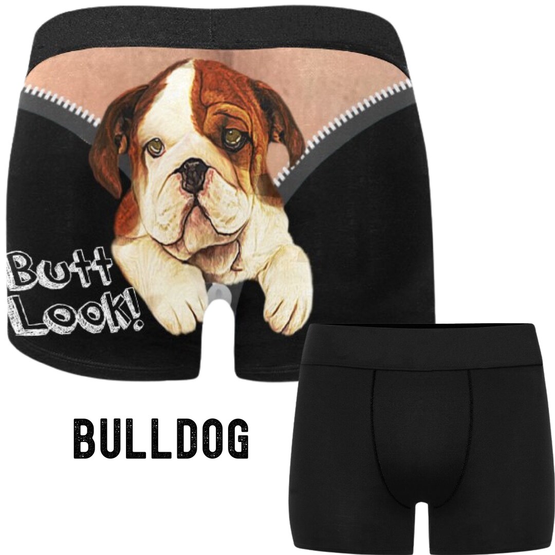Men's Boxer Briefs Bulldog Puppy Dog Male Underwear Small Dog at Rear ...