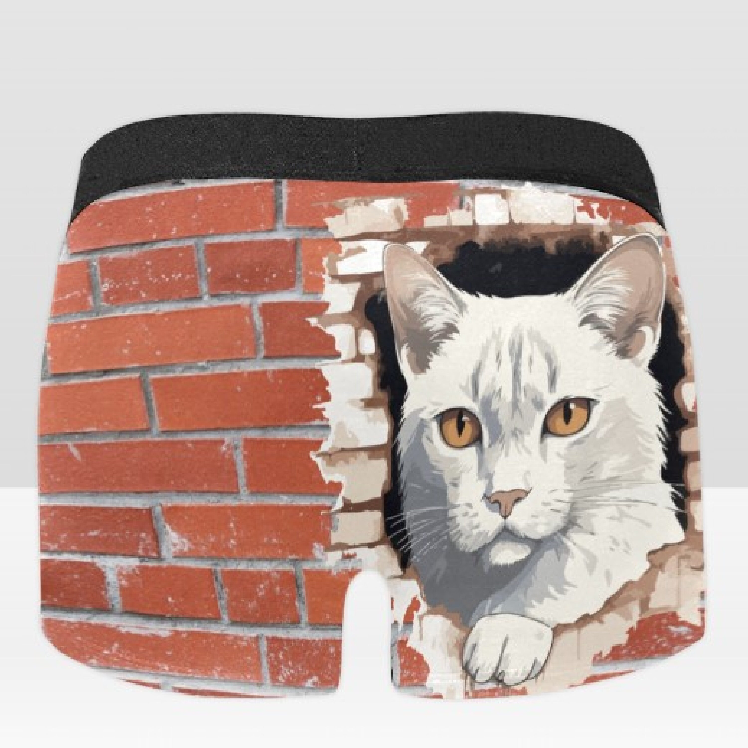 Men's Brick Wall Boxer Briefs Cats in a Hole Male Underwear White or ...