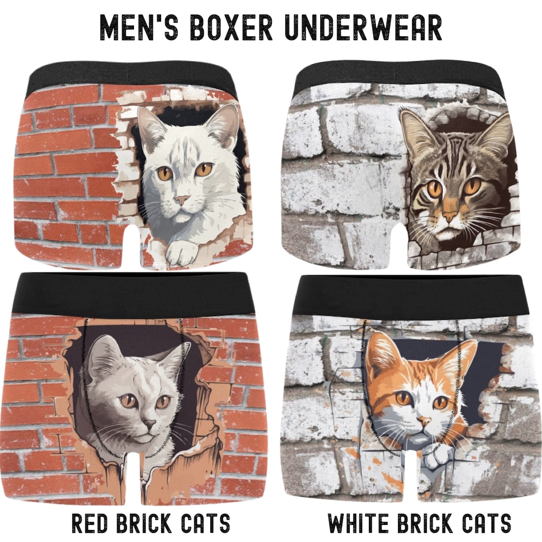 Men's Brick Wall Boxer Briefs Cats in a Hole Male Underwear White or ...