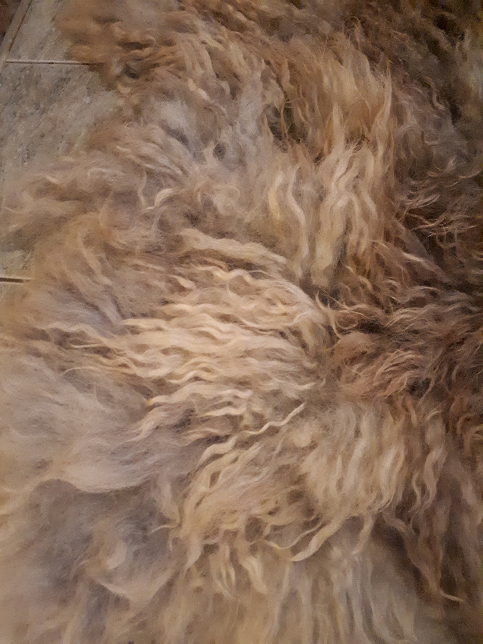 Introducing the Timeless Beauty of Wet Felted Shetland Rug - Embrace ...