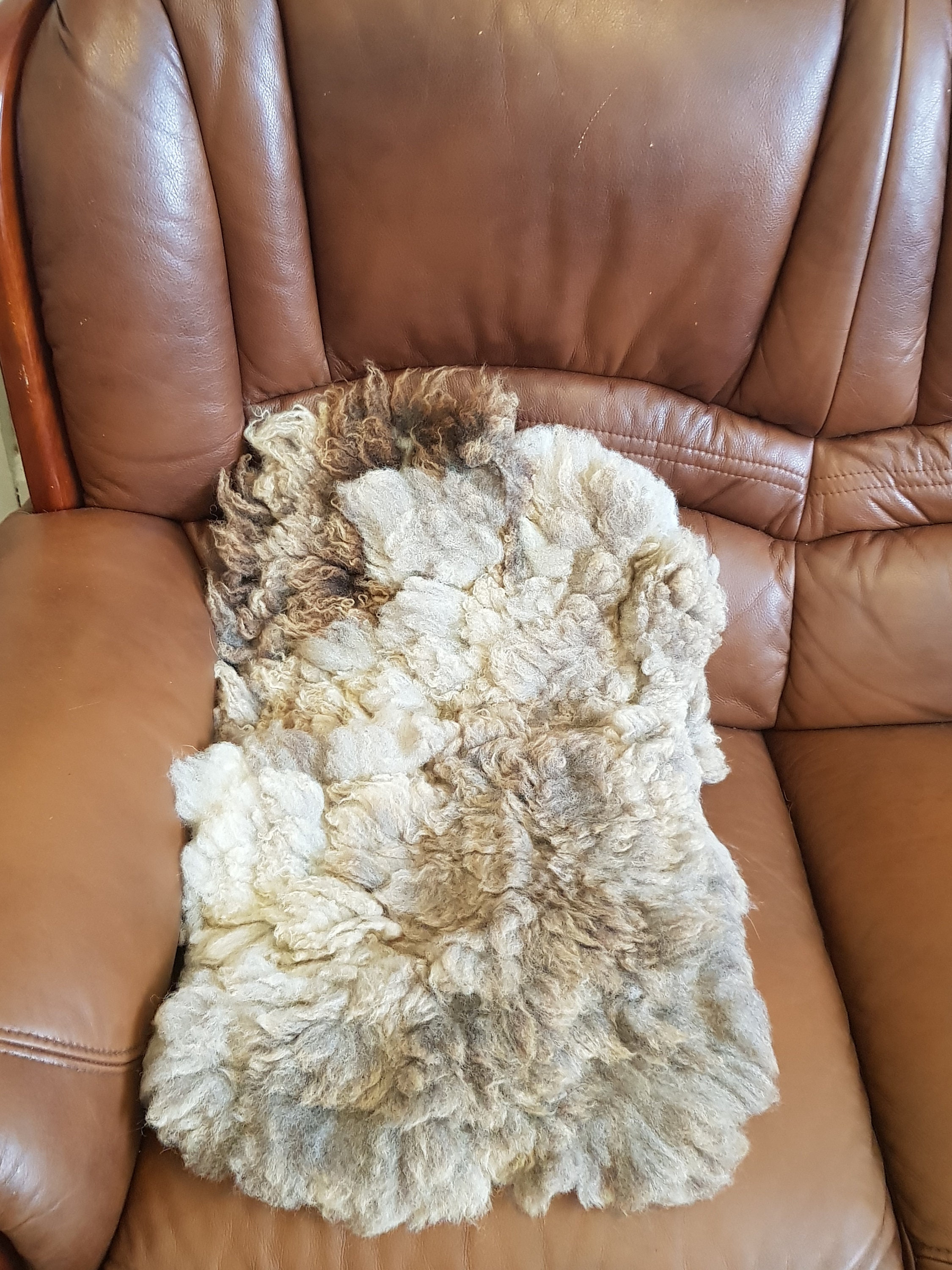 Introducing the Natural Elegance of Wet Felted Fawn Ryeland Rug Embrace ...