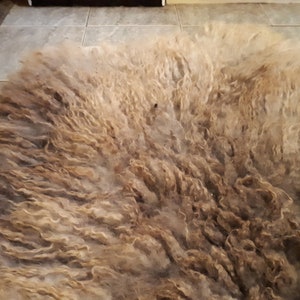 Introducing the Timeless Beauty of Wet Felted Shetland Rug - Embrace ...