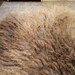 Introducing the Timeless Beauty of Wet Felted Shetland Rug Embrace ...